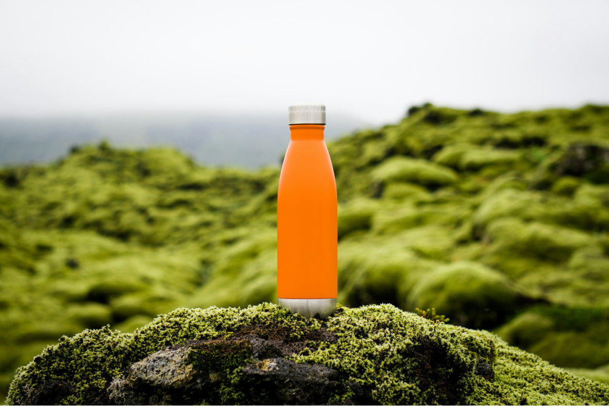 Real-Food Fuel for Runners: Unlock Steady Energy & Better Recovery ...